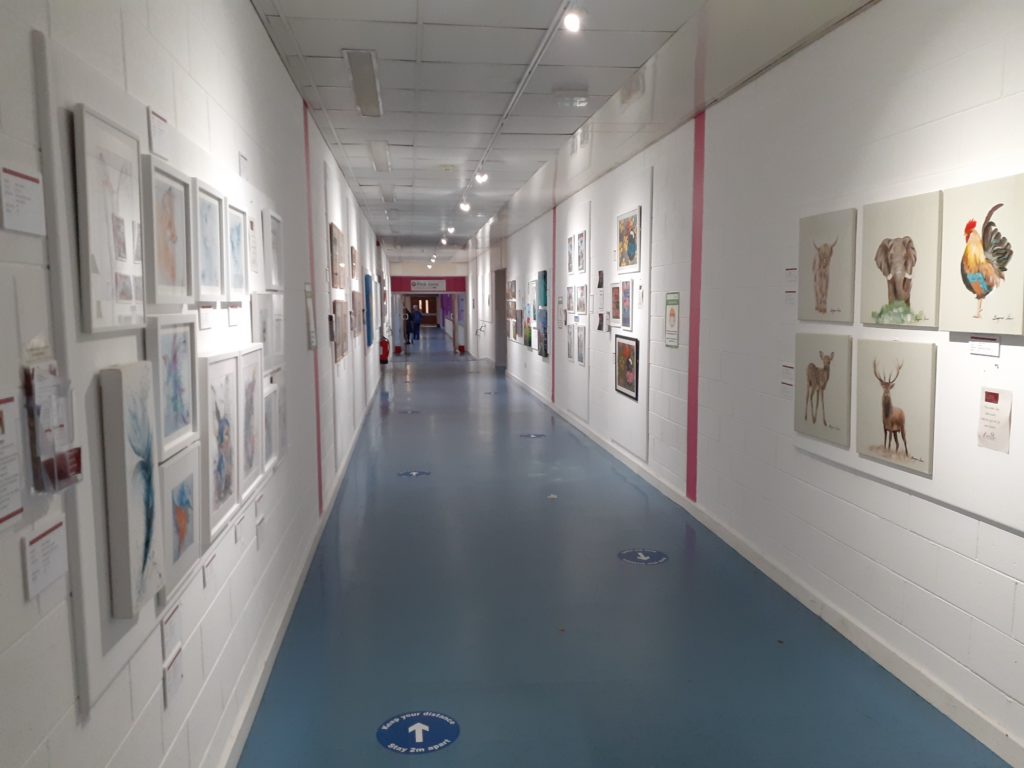 Art gallery breathes new life into Lister Hospital corridor – East and ...